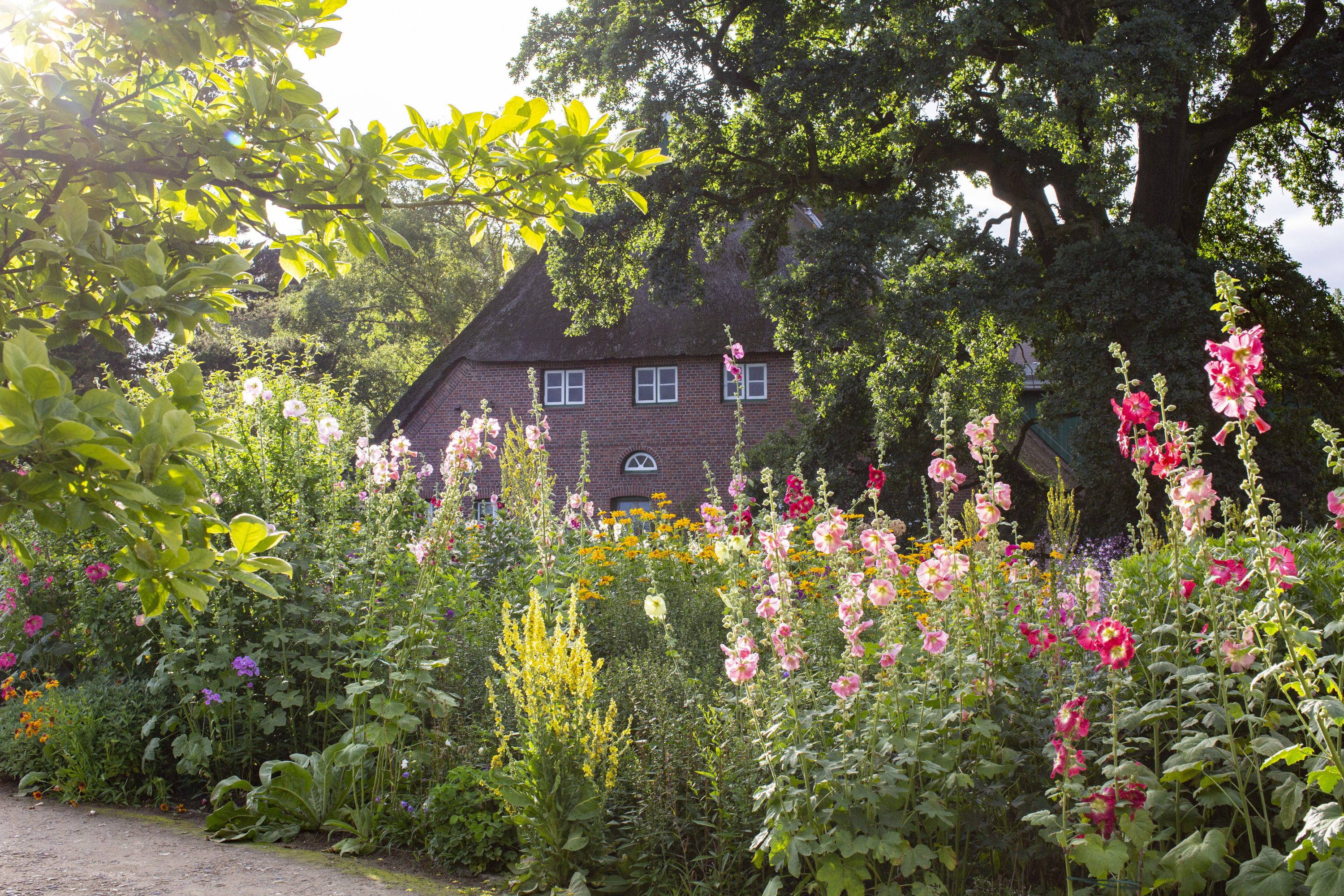 Garten Sybille Ehmann-Green und Uwe Green